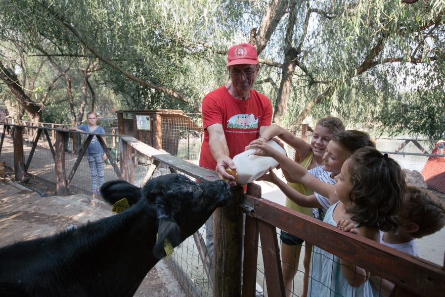 Ce este Ferma Animalelor? | Ferma Animalelor